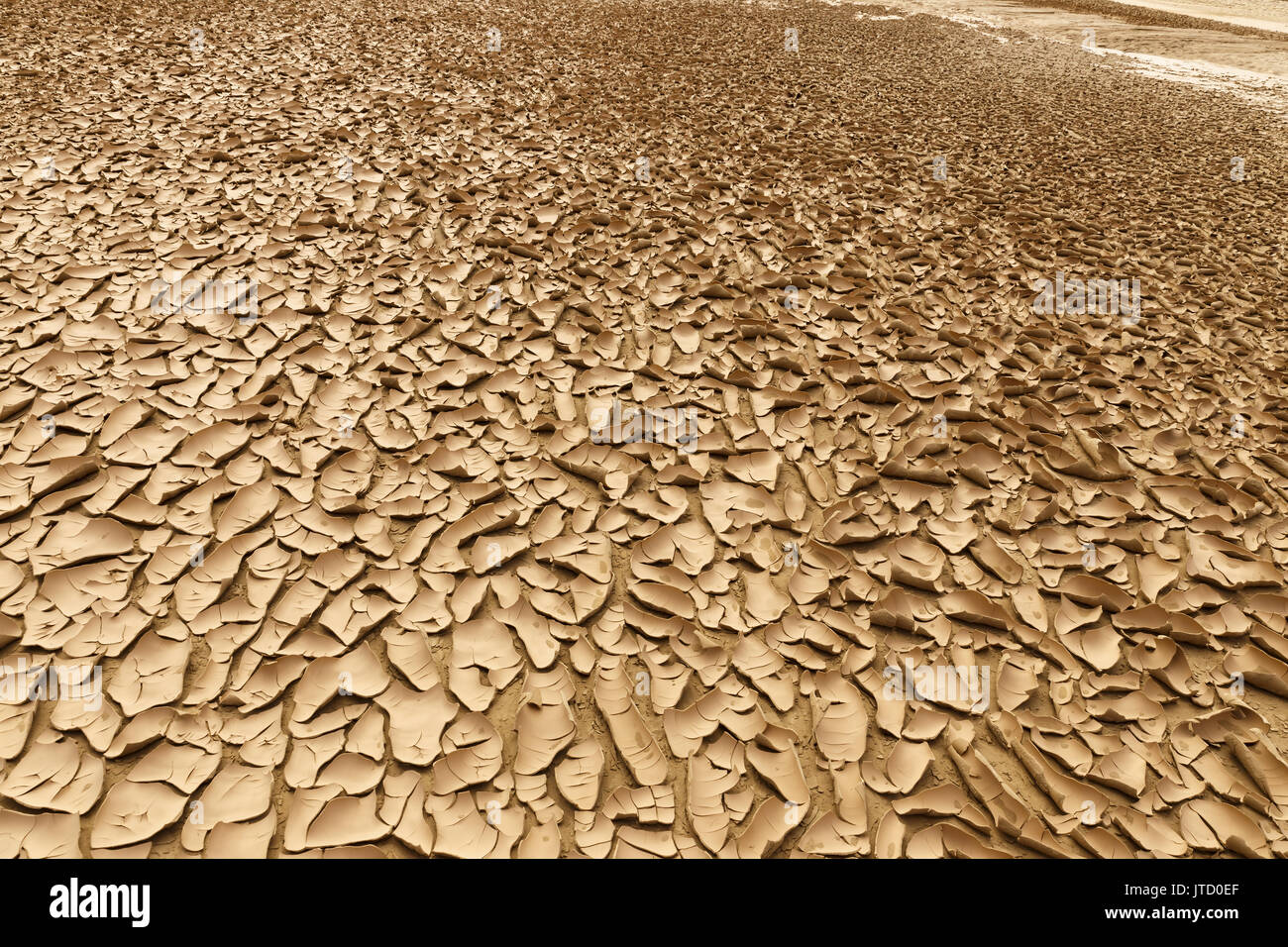 Cracked earth in Sahara desert Stock Photo - Alamy
