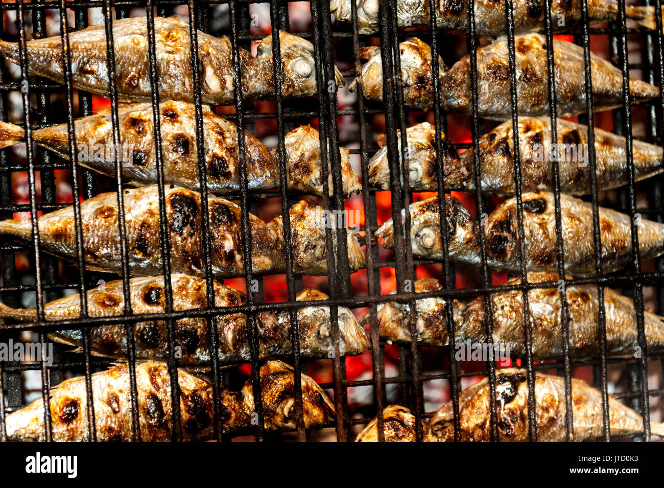 Carapau fish hi-res stock photography and images - Alamy