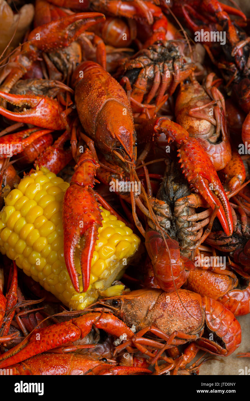 Louisiana Crawfish Boil Stock Photo - Alamy