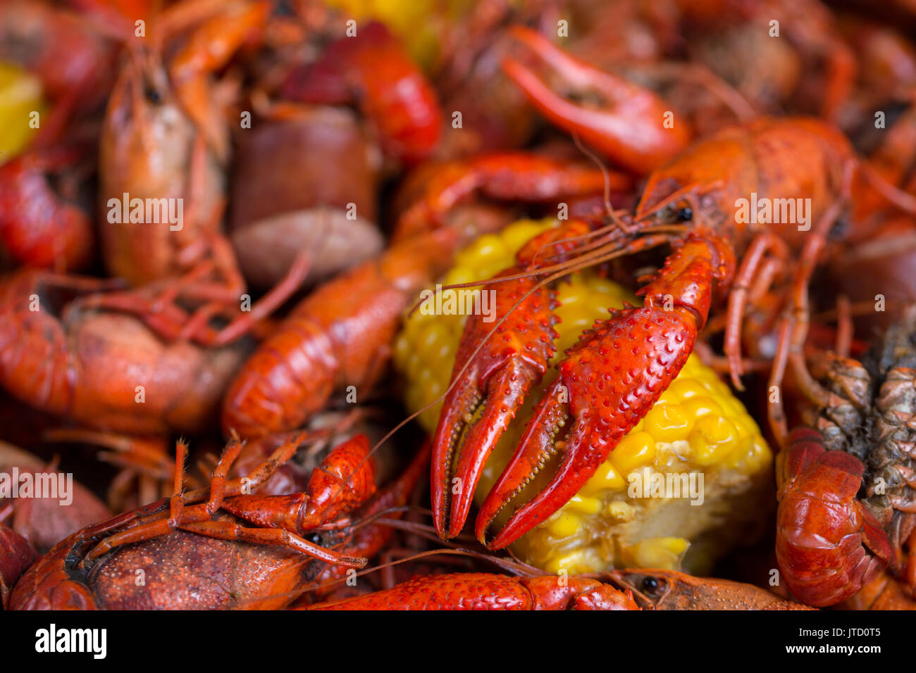 Louisiana Crawfish Boil Stock Photo - Alamy