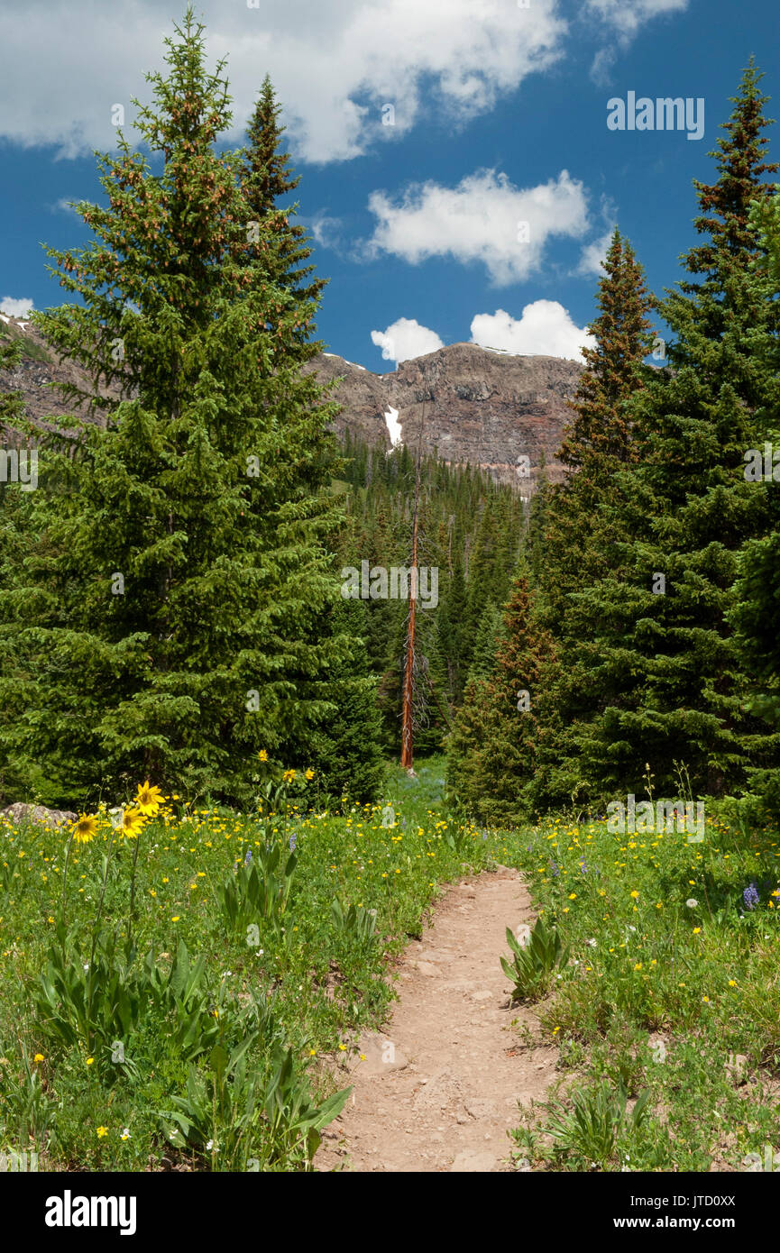 Wildflowers and more along the Smith Lake trail going into the Flat ...