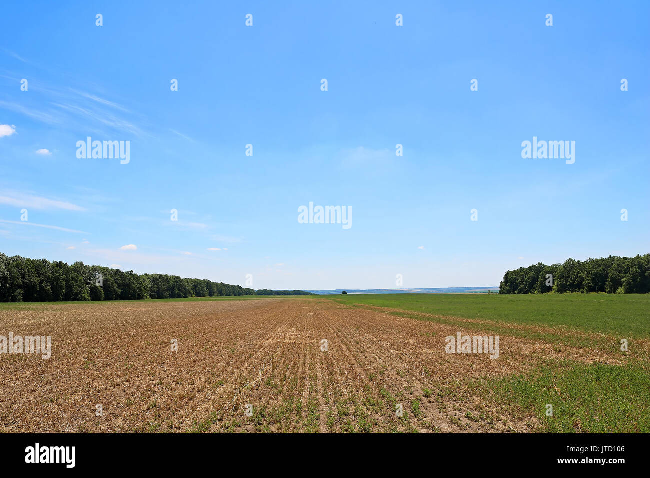 Field rests in summer. Fallow land Stock Photo - Alamy