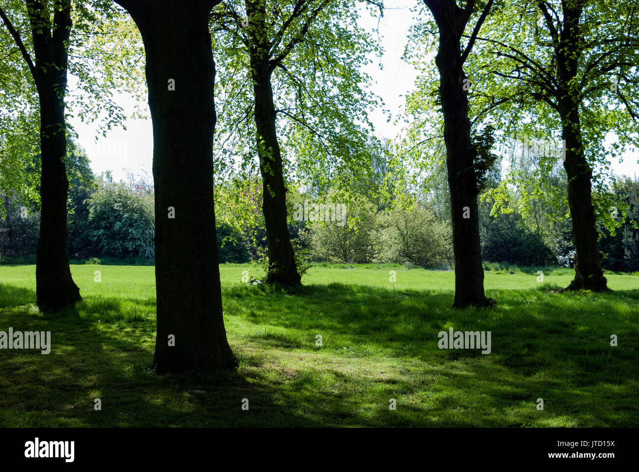 Shadowy terrain hi-res stock photography and images - Alamy