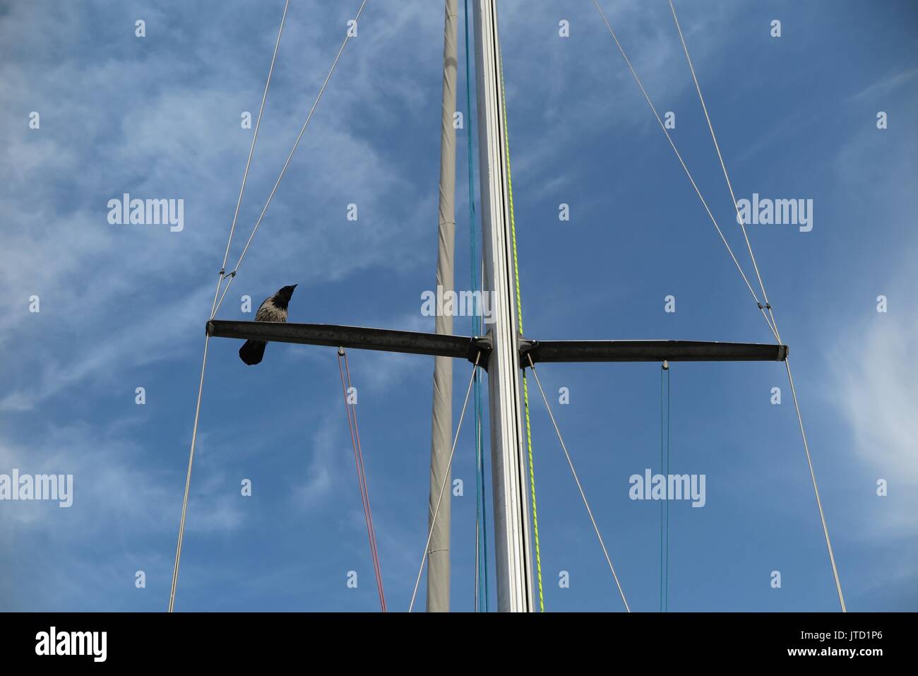 the crow is above the sailing mast Stock Photo - Alamy