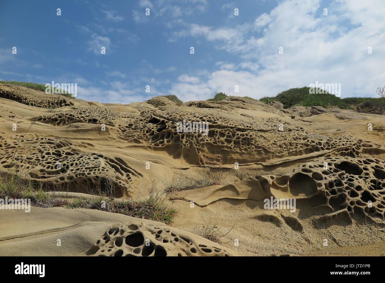 Perforated rock texture and background Stock Photo - Alamy