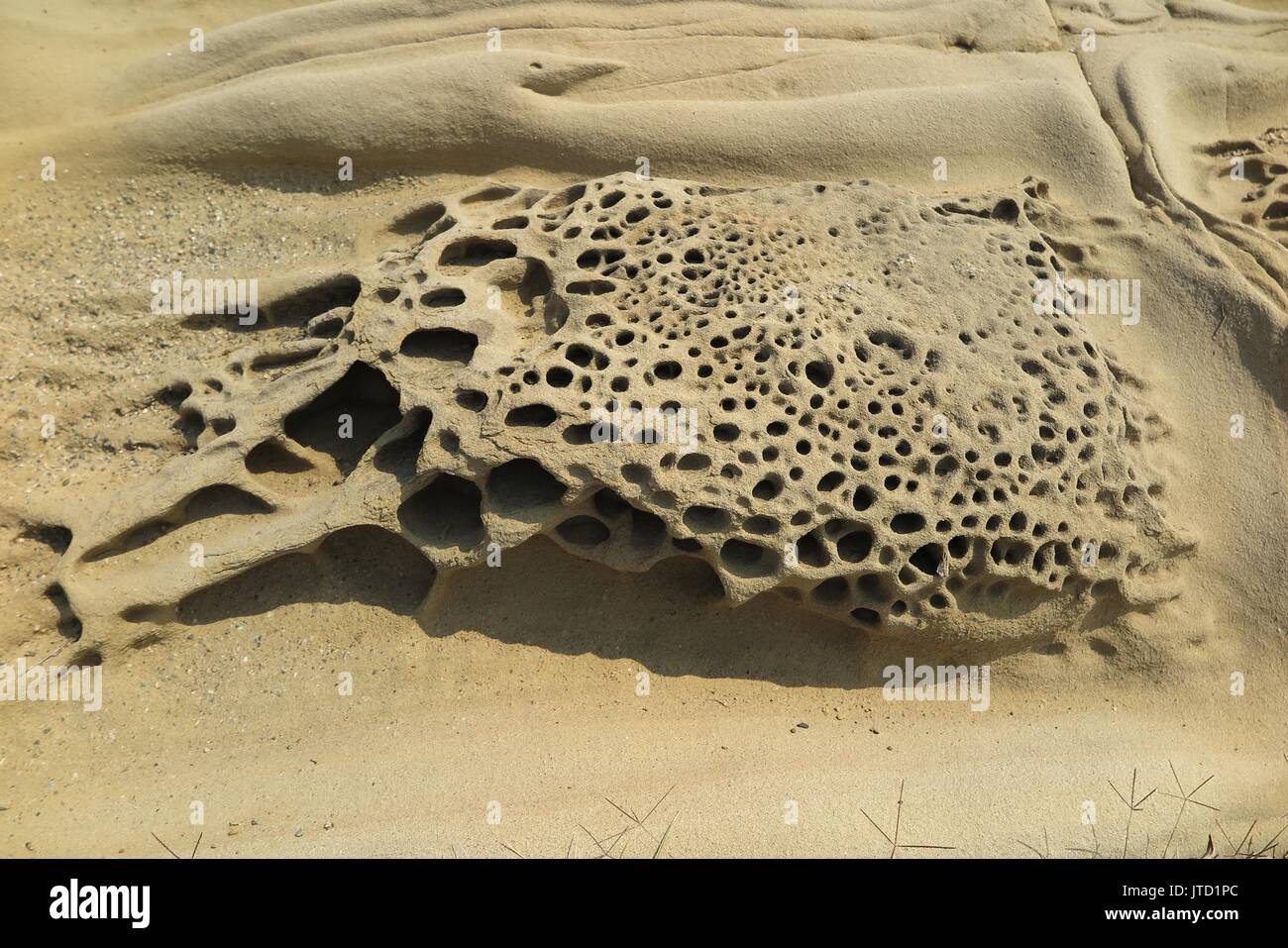 Perforated rock texture and background Stock Photo - Alamy