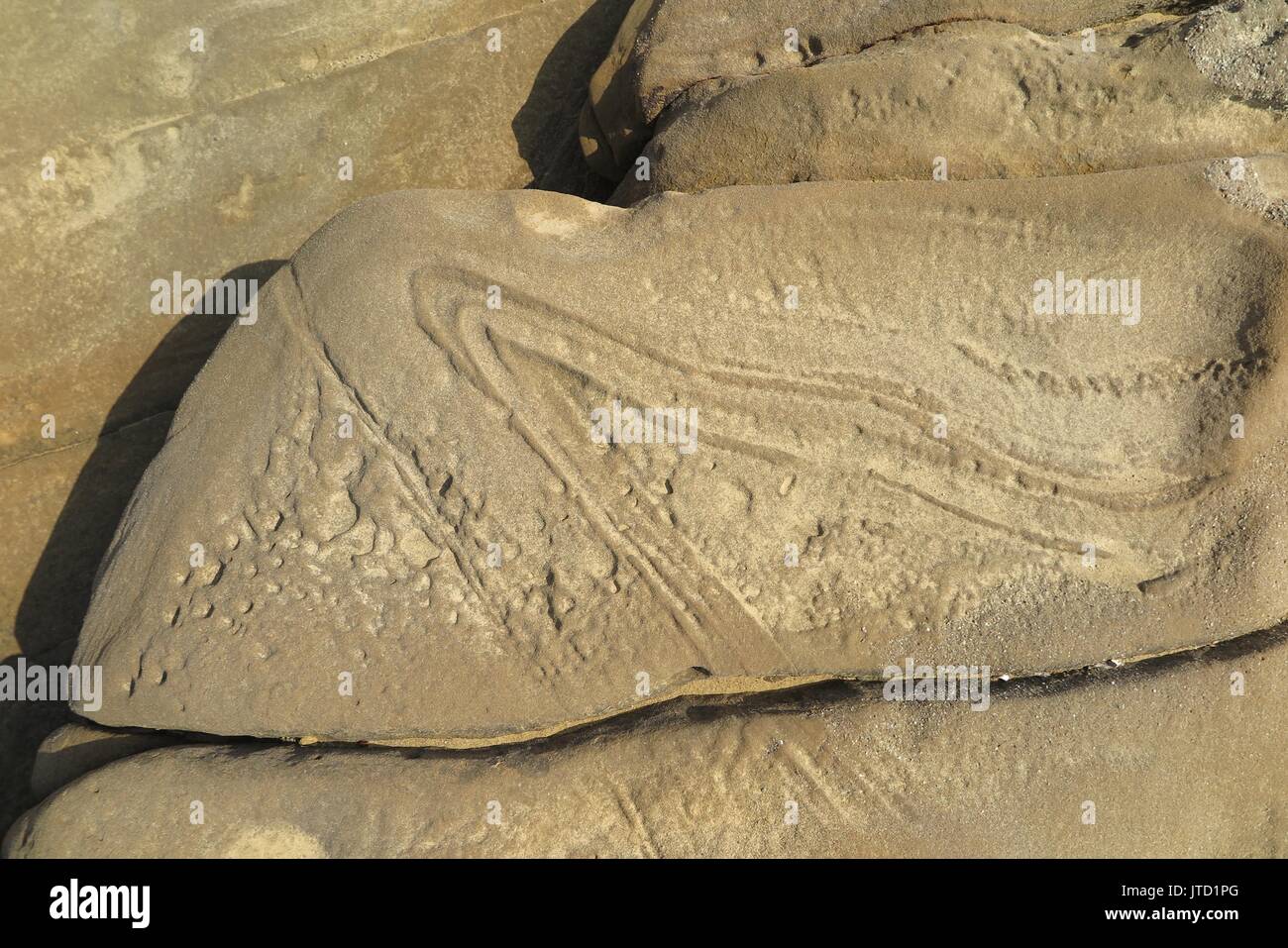 Perforated rock texture and background Stock Photo - Alamy