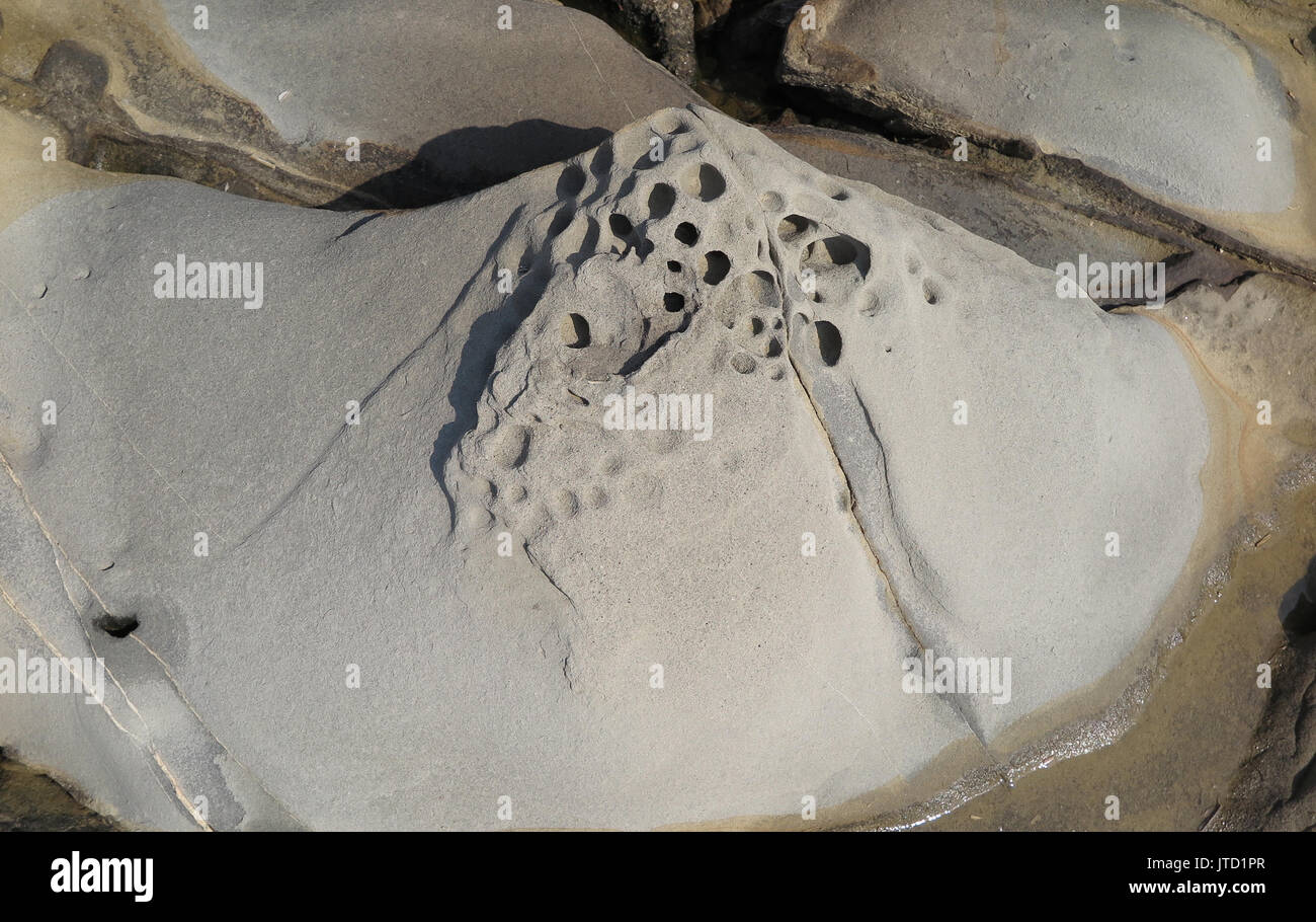 Perforated rock texture and background Stock Photo - Alamy