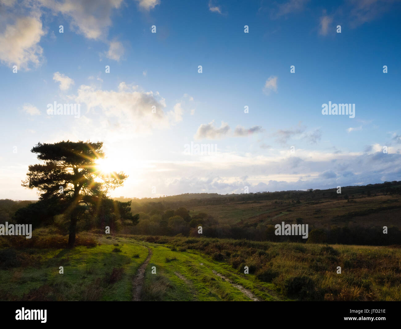 Ashdown forest hi-res stock photography and images - Alamy