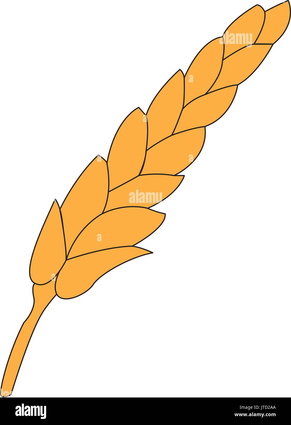 Wheat Image Stock Vector Images - Alamy