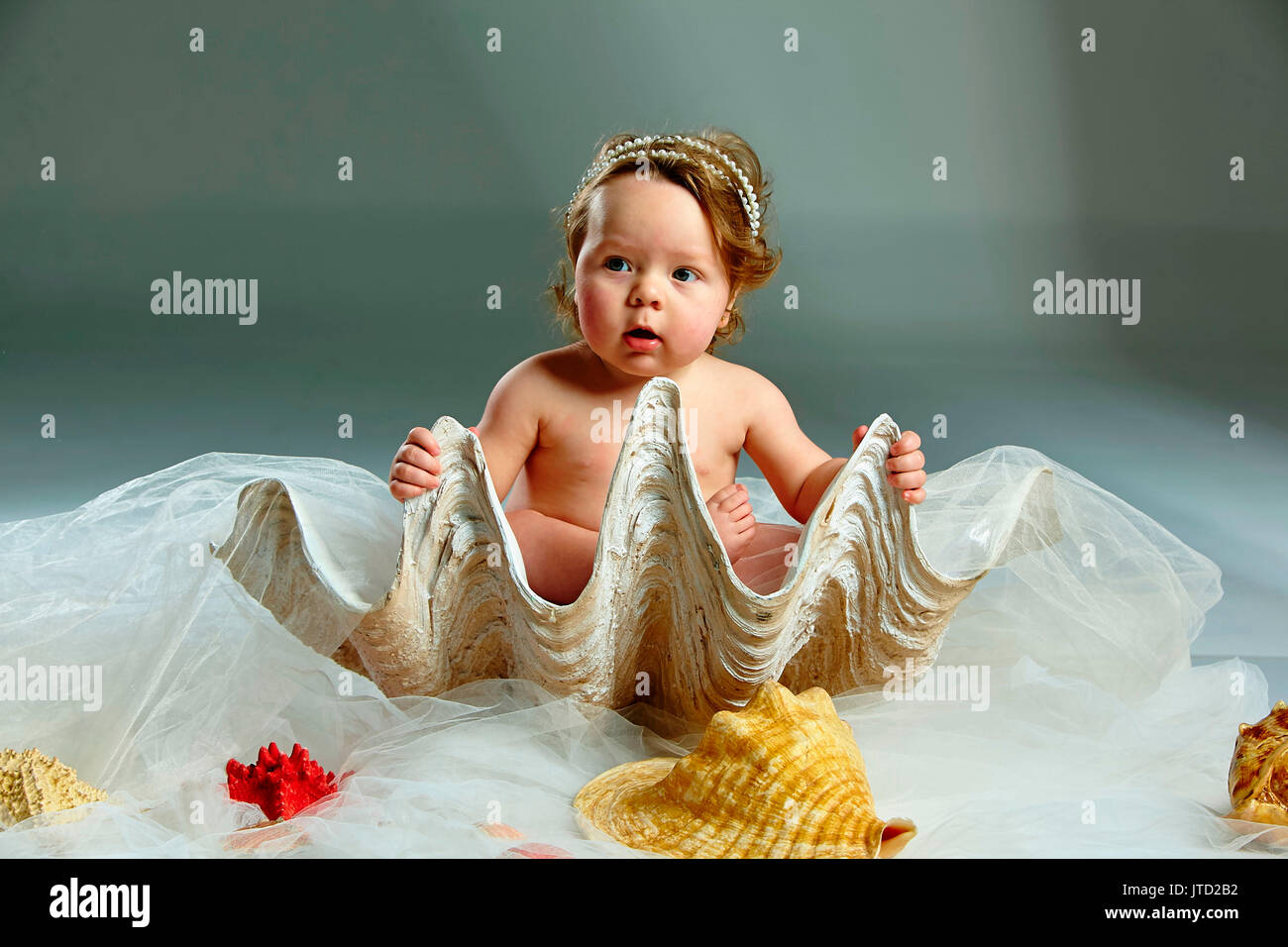 Baby, 1 year; Isolated, Grey background Stock Photo - Alamy