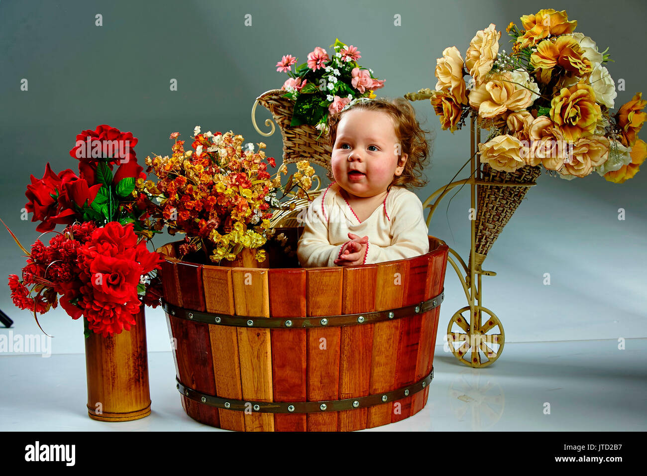 Baby, 1 year; Isolated, Grey background Stock Photo - Alamy
