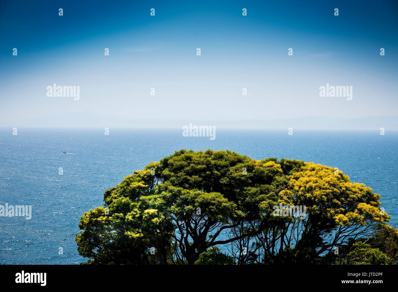View enoshima island japan hi-res stock photography and images - Alamy