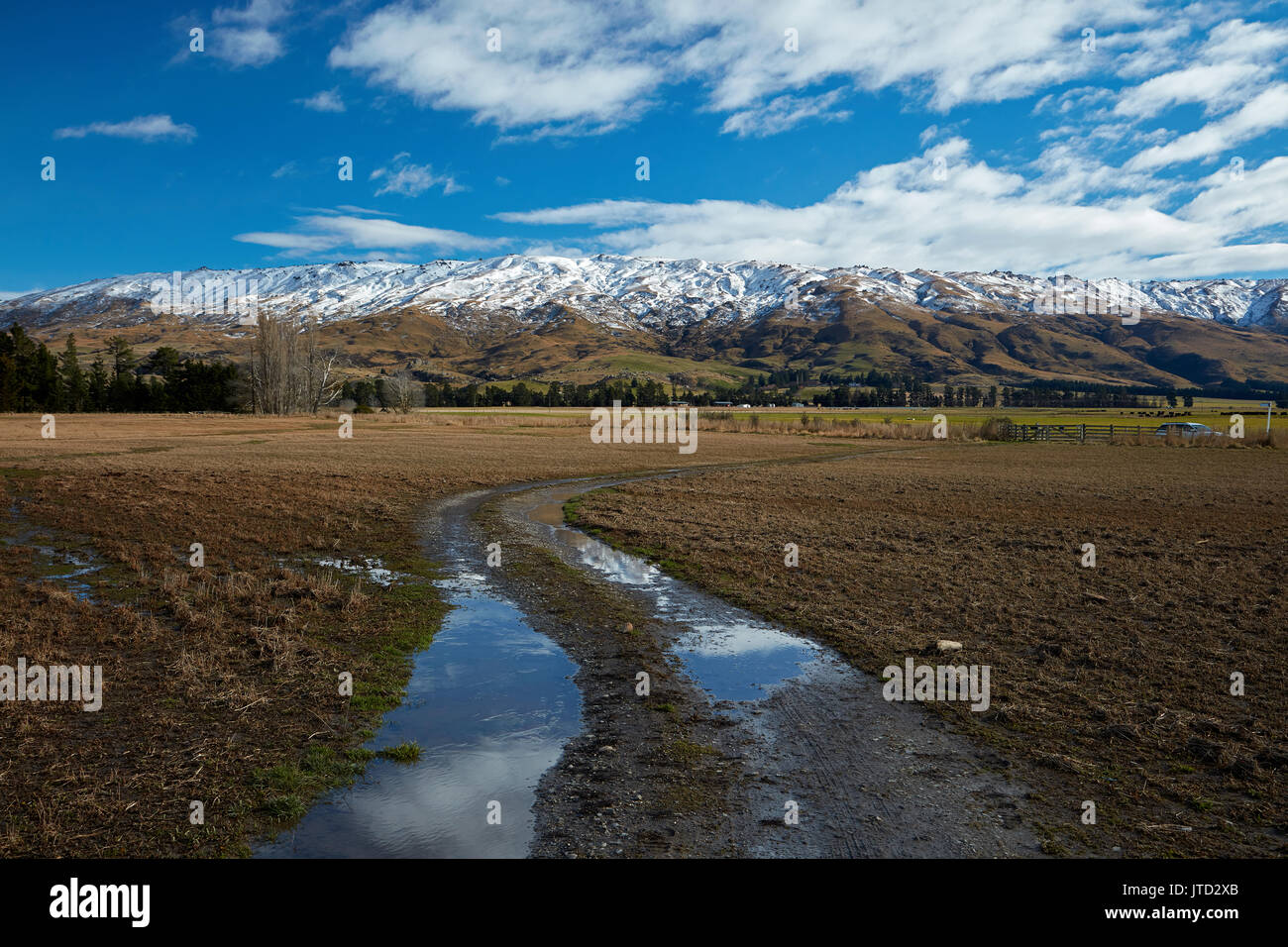 Farm track and Rock and Pillar Range, Sutton, near Middlemarch, Strath ...