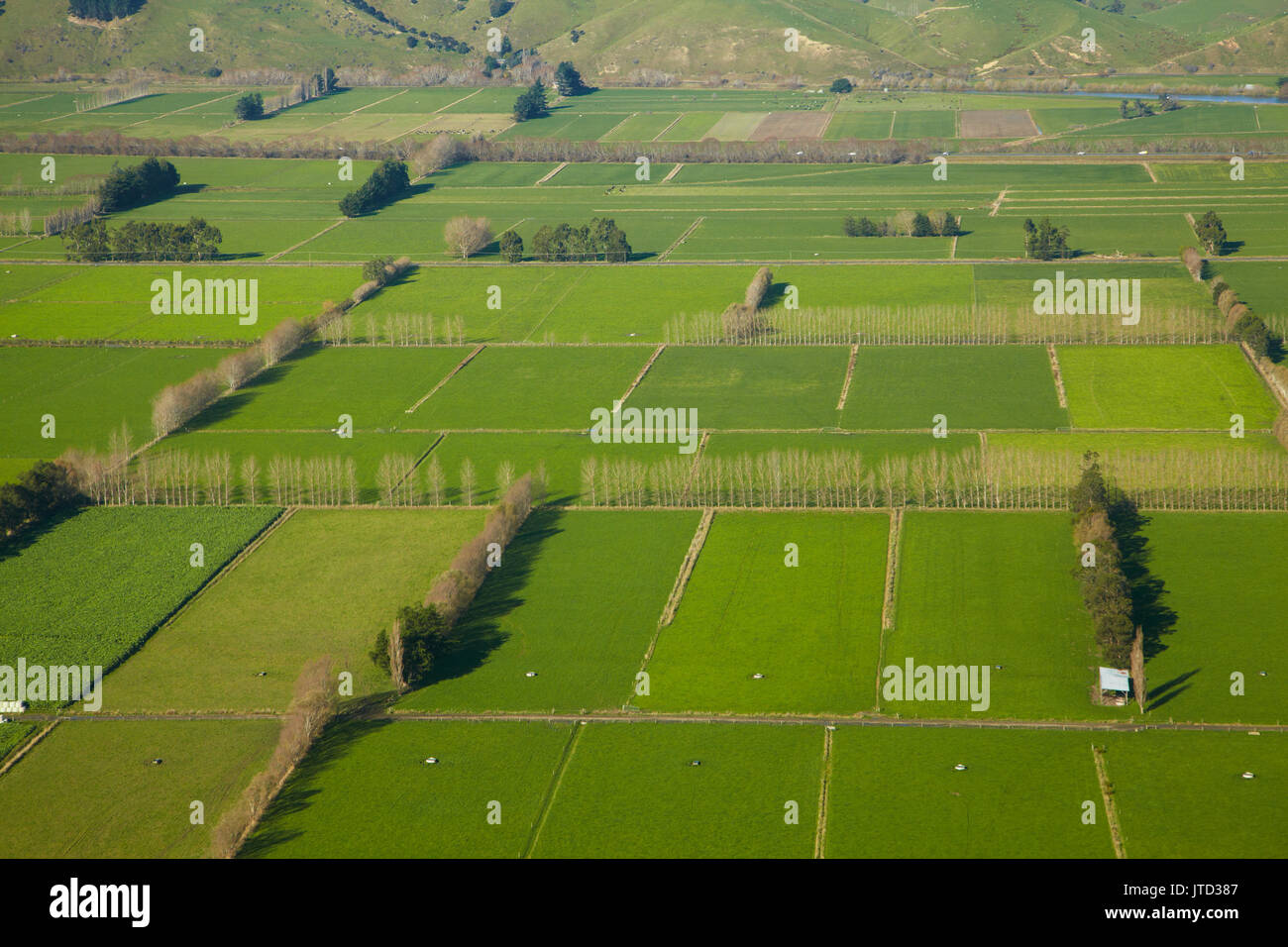 Farmland, Taieri Pains, Dunedin, South Island, New Zealand - aerial ...