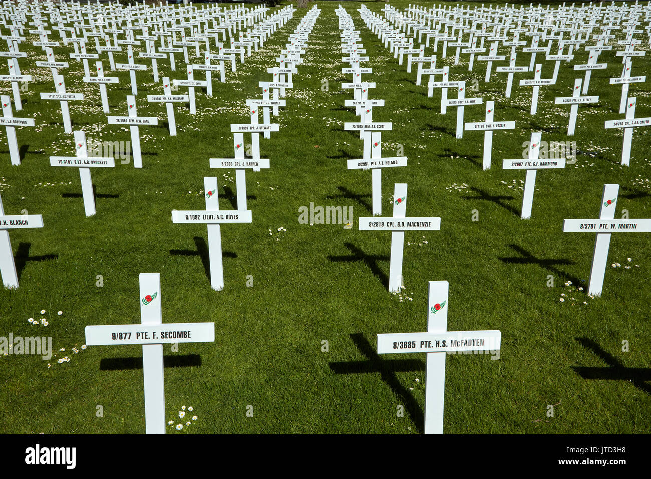 Soldiers crosses at WWI Field of Remembrance, Queens Gardens, Dunedin ...