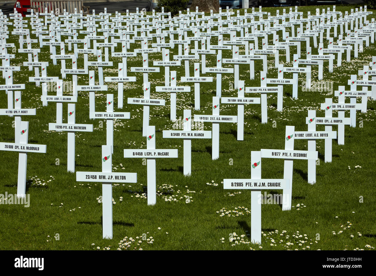 Soldiers crosses at WWI Field of Remembrance, Queens Gardens, Dunedin ...