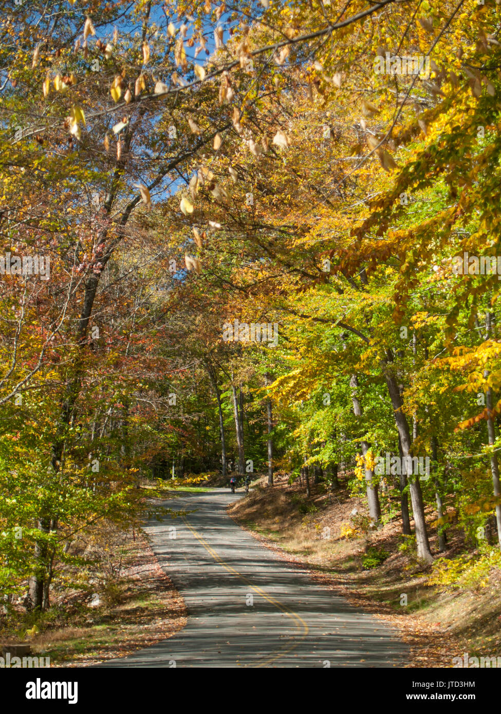Country Road in Autumn Stock Photo - Alamy