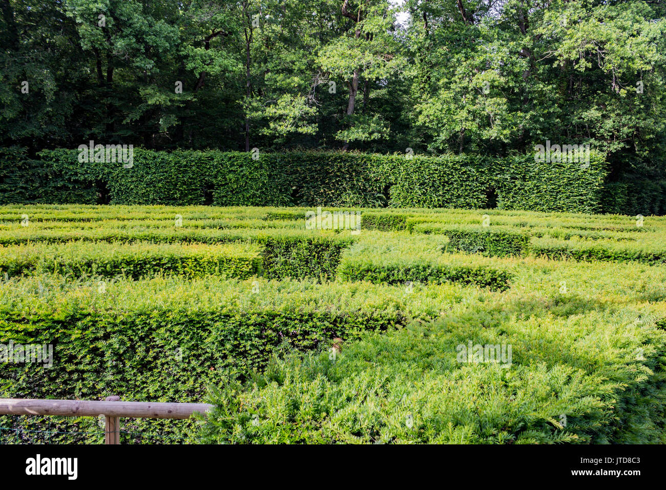 Green Maze Chenonceau Castle Loire Valley France Stock Photo - Alamy