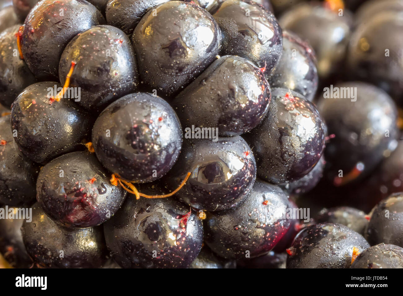 Close up of fresh healthy blackberries fruits Stock Photo - Alamy