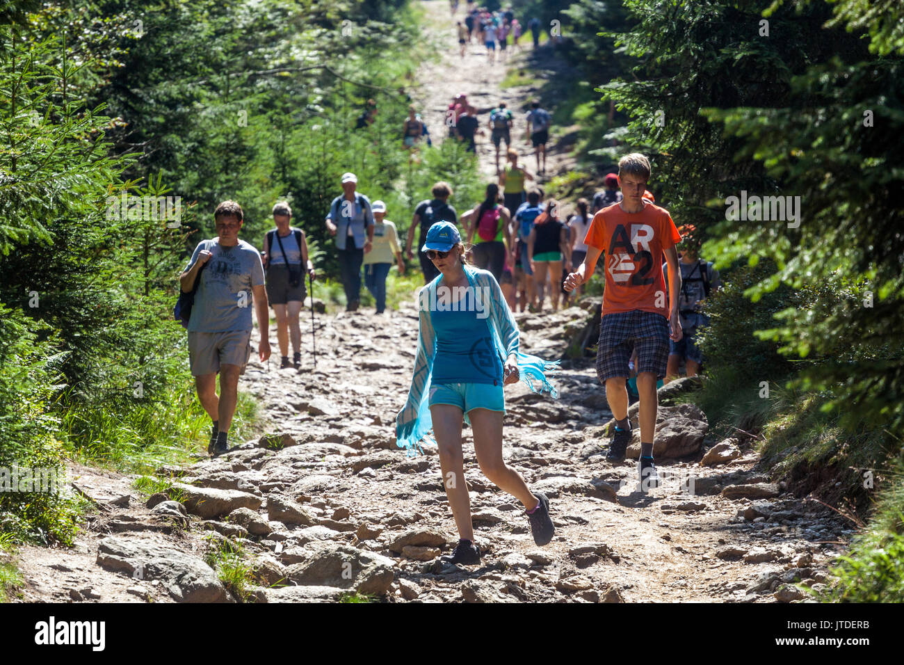 Sumava National Park, Czech Republic, Crowds of people hiking on a ...