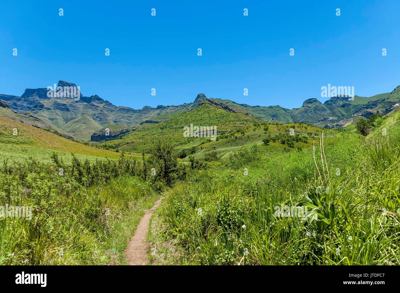 Path, walk to Thukela waterfall in Royal Natal Park Drakensberg ...