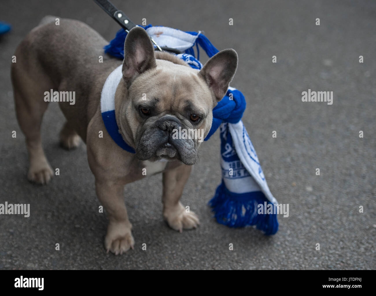 First round match between queens park rangers hi-res stock photography ...