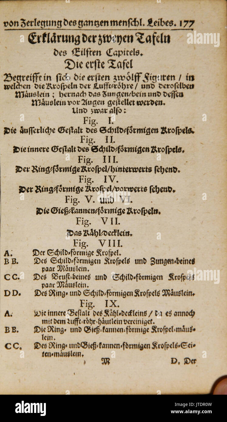 Wesling Kuenstliche Zerlegung 225 Stock Photo - Alamy