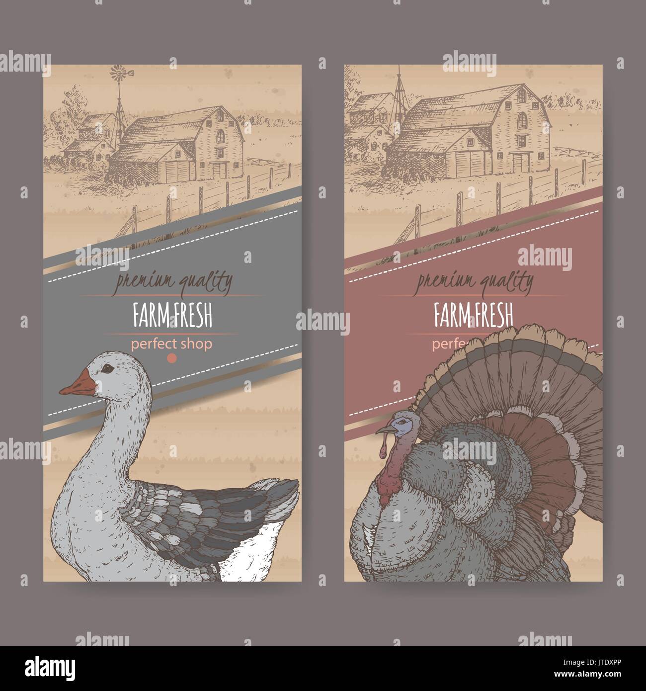 Two farm shop labels with farmhouse, barn, color goose and turkey on ...