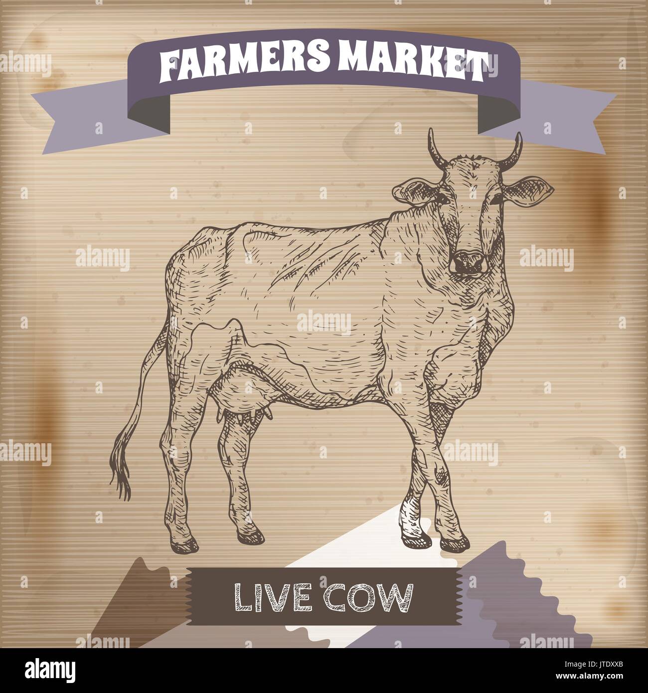Vintage farmers market label with live cow Stock Vector Image & Art - Alamy