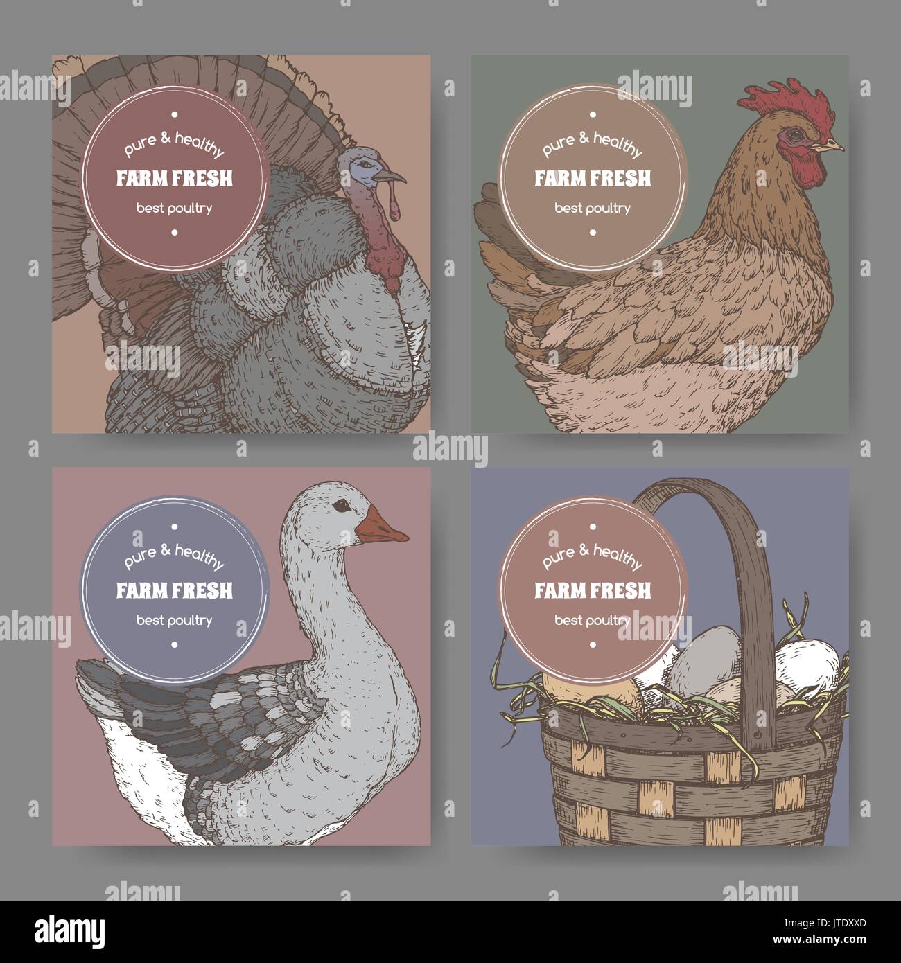 Four labels with hand drawn color poultry sketches Stock Vector Image ...