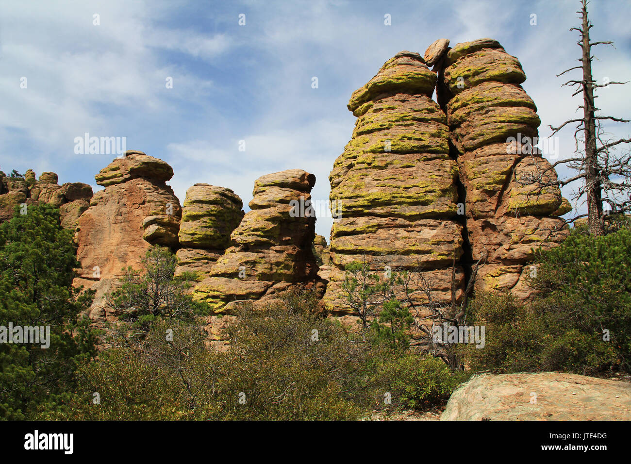 Echo Canyon rock hoodoos formation in Chiricahua National Monument near Wilcox, in southern ...