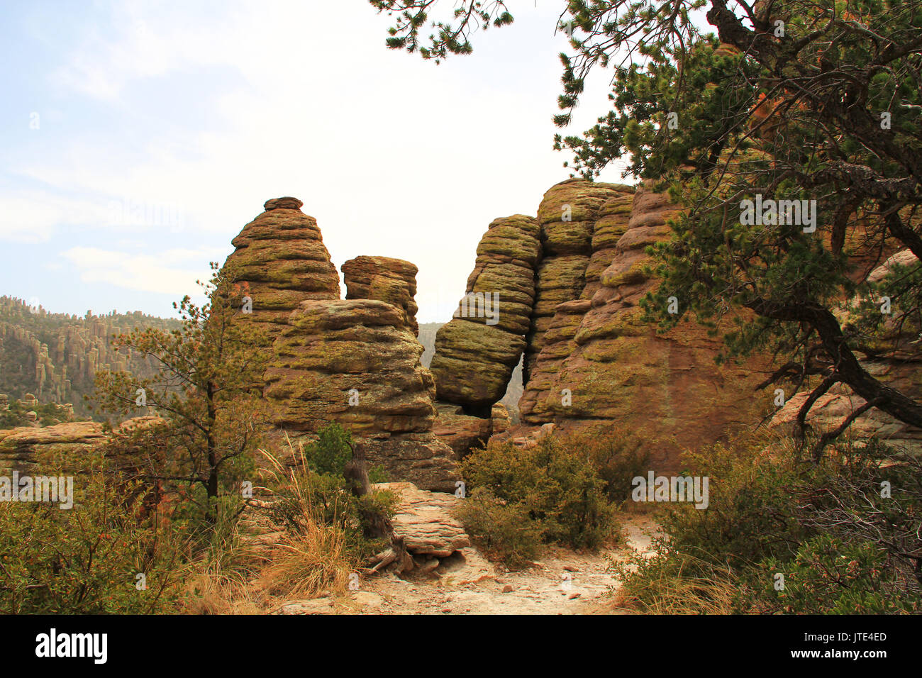 Echo Canyon rock hoodoos formation in Chiricahua National Monument near Wilcox, in southern ...