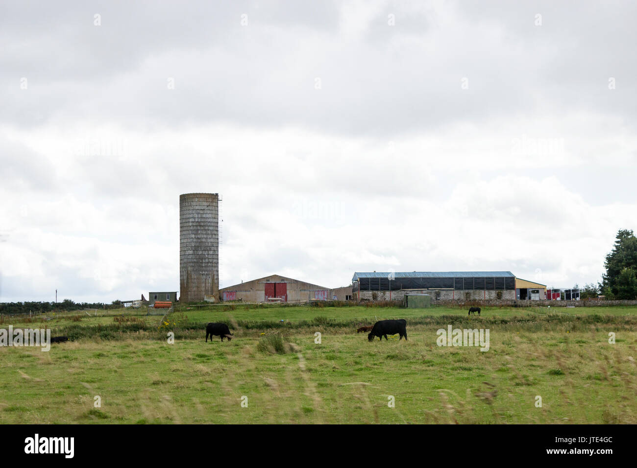 Scotland, Highlands, Scottish Landscape, Farm, Cows, Trees, Field ...