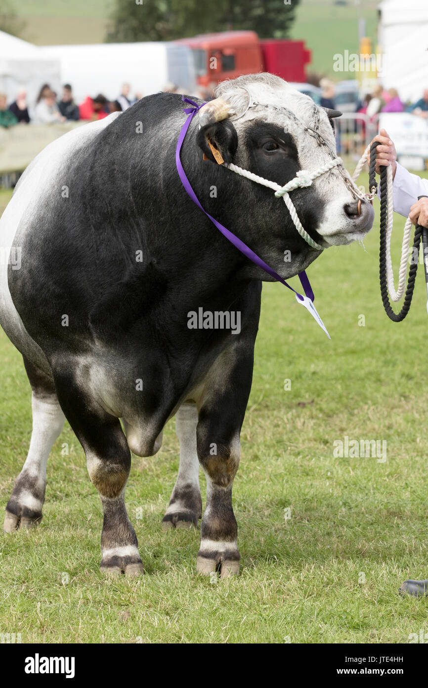 Scotland keith hi-res stock photography and images - Alamy