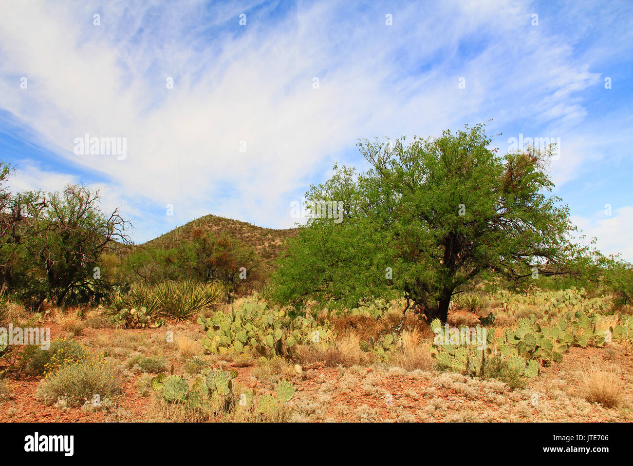 Scenic mountain view in Colossal Cave Mountain Park in Vail, Arizona ...
