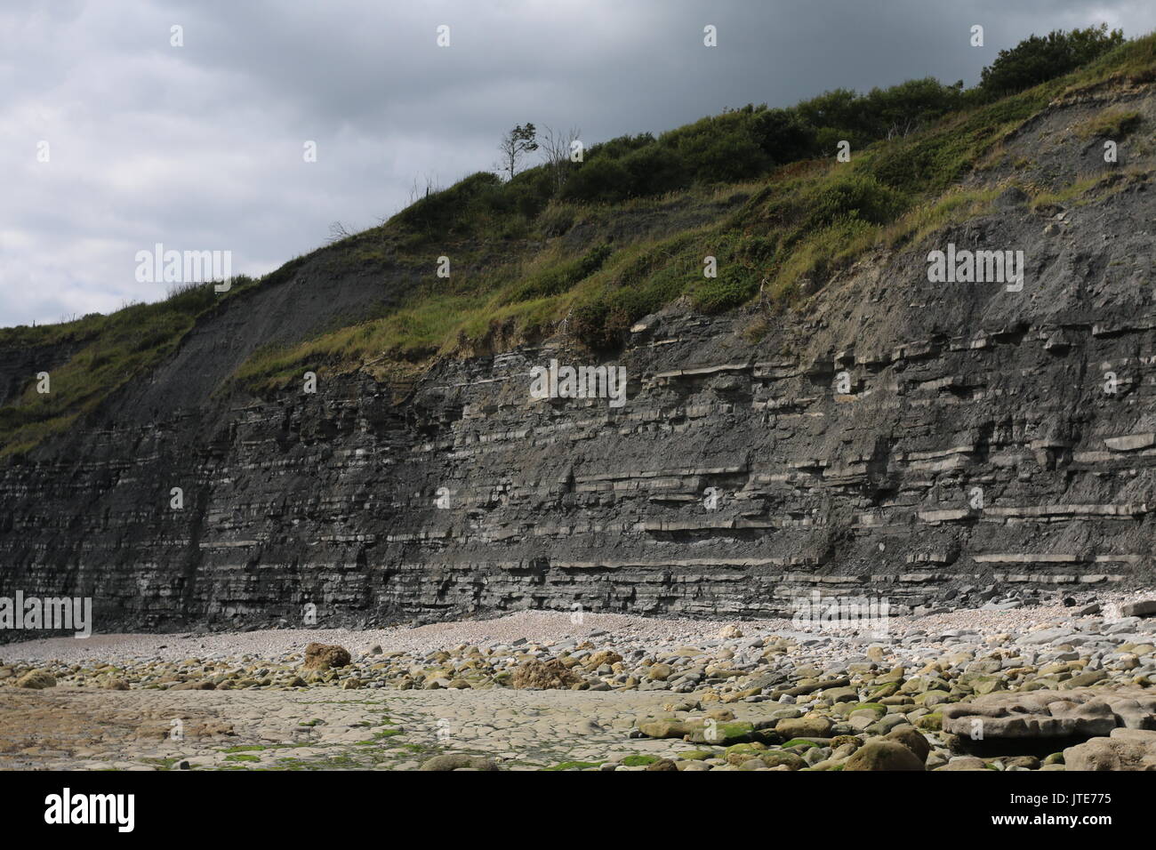 Black ven cliff fossils hi-res stock photography and images - Alamy