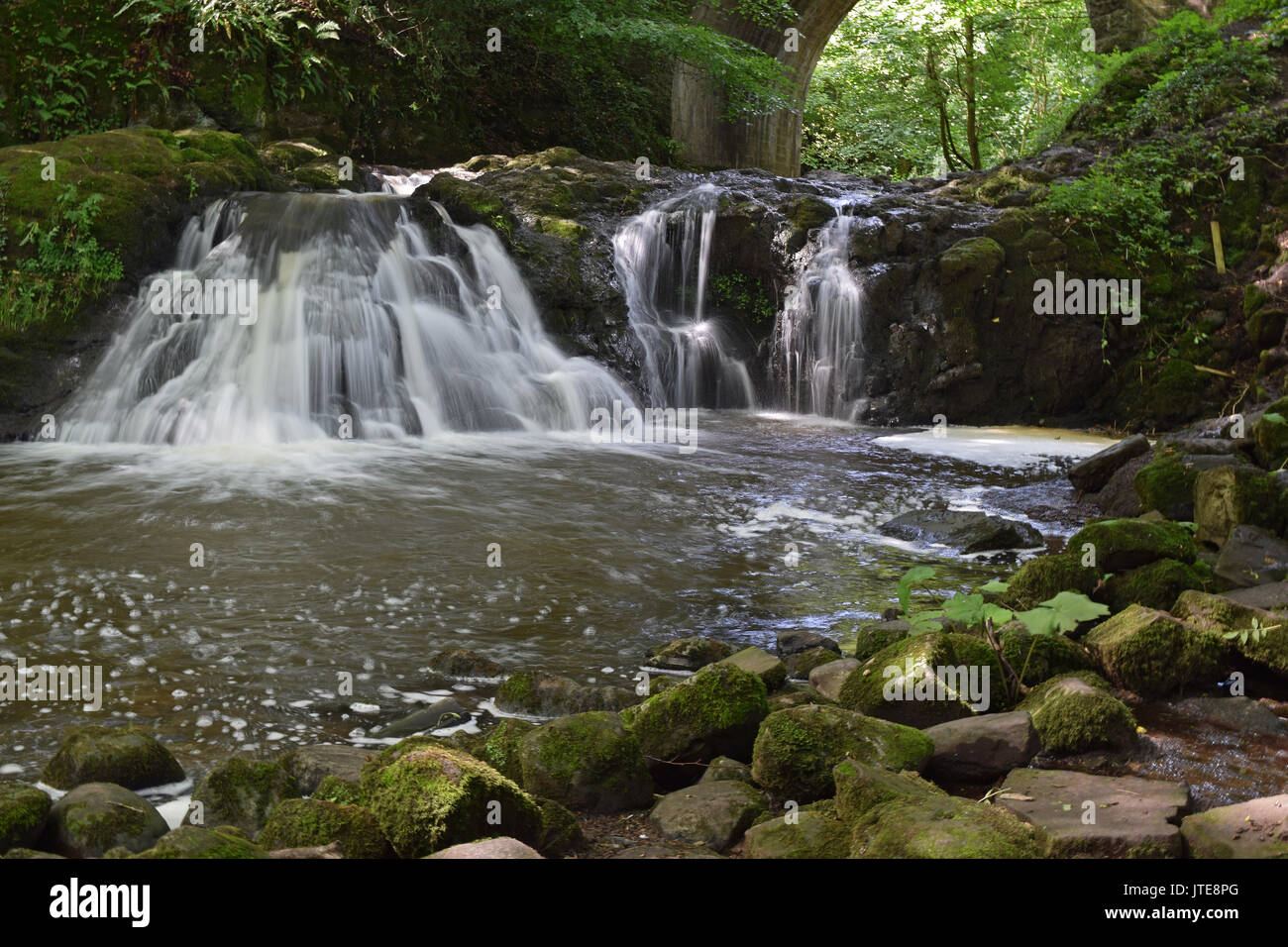 Angus trail hi-res stock photography and images - Alamy