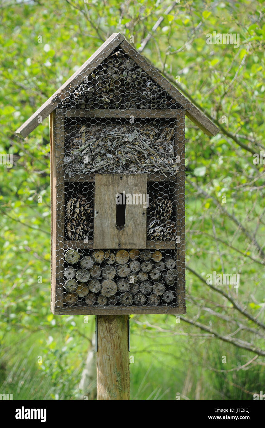 Bug house hi-res stock photography and images - Alamy