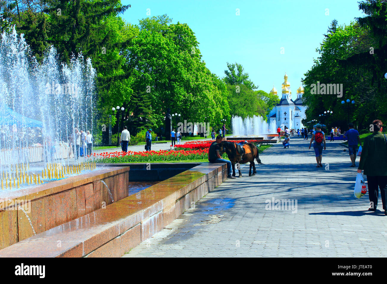 people walk in the city park with flower beds of tulips wide footpath ...