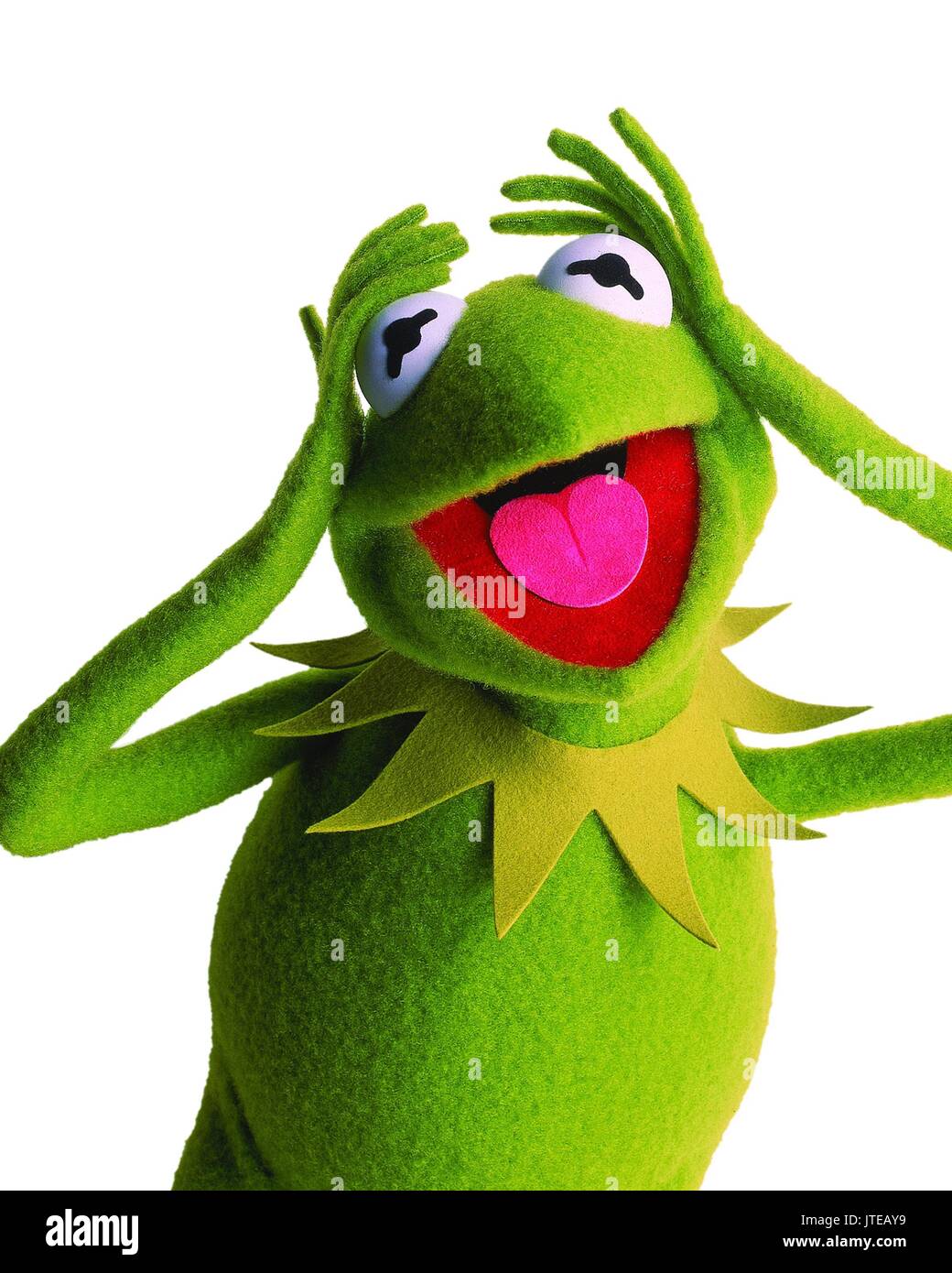 Muppets Animal High Resolution Stock Photography and Images - Alamy