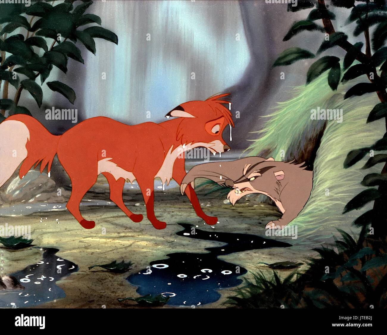 Todd The Fox High Resolution Stock Photography and Images - Alamy