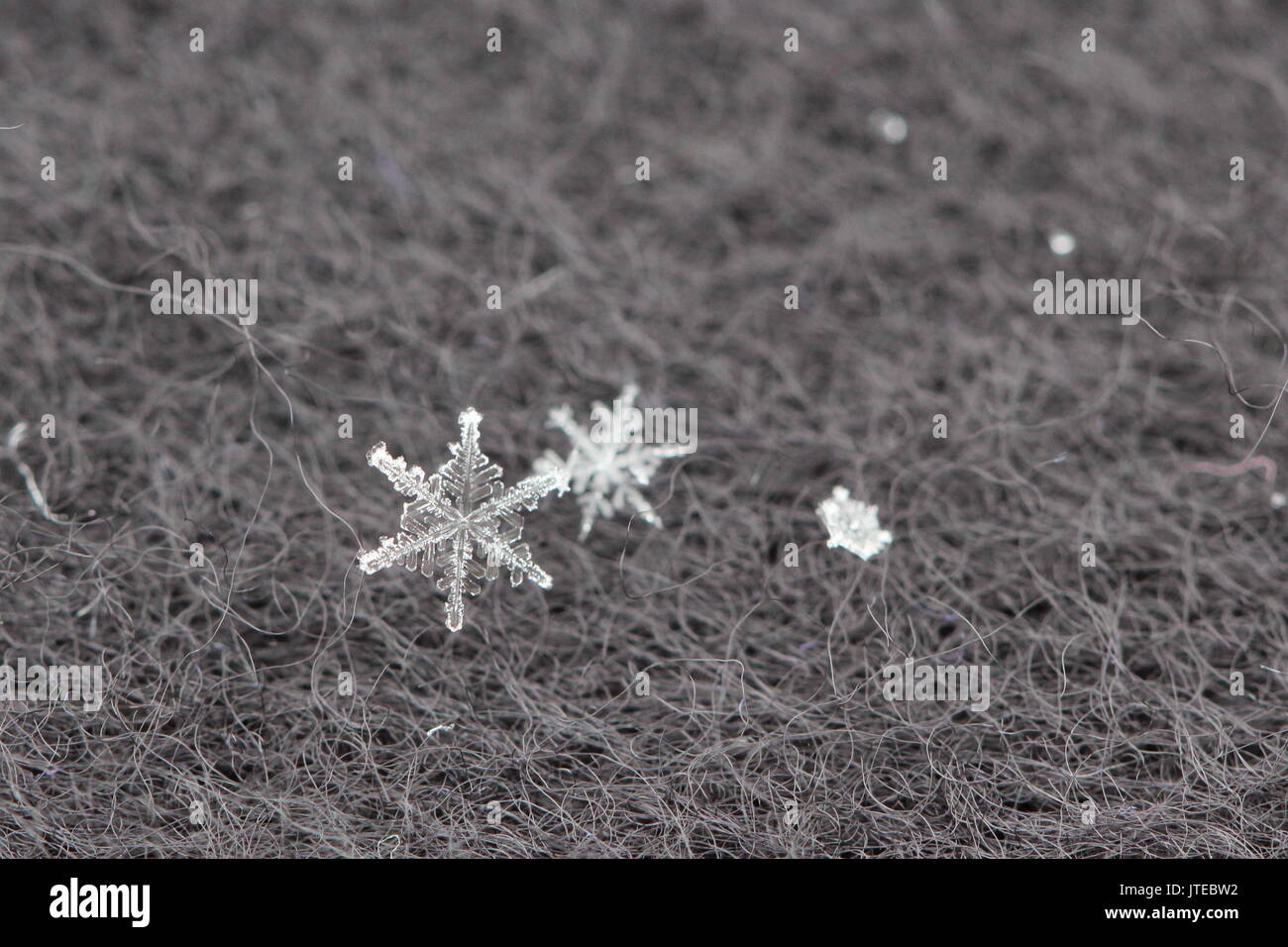 Close up snowflakes falling hi-res stock photography and images - Alamy