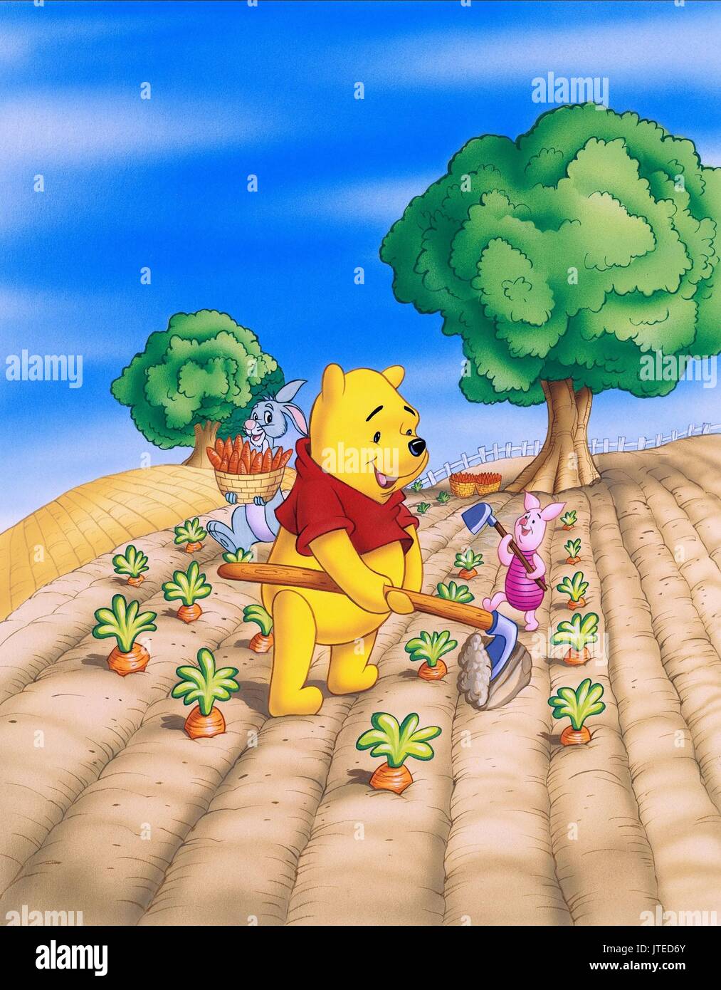 Piglet Winnie The Pooh Stock Photos & Piglet Winnie The Pooh Stock ...