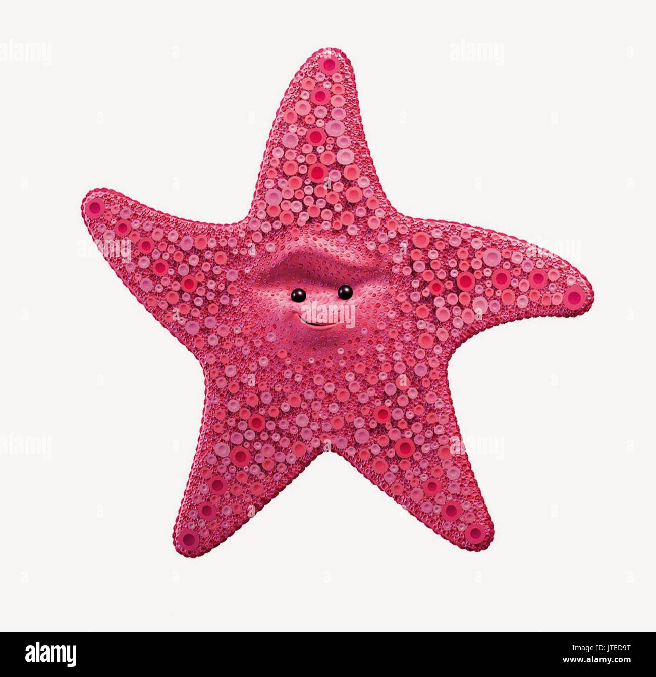 Finding Starfish High Resolution Stock Photography and Images - Alamy