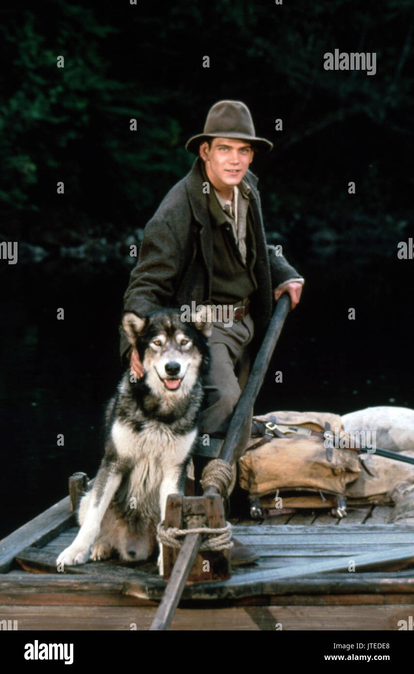 White Fang Movie High Resolution Stock Photography and Images - Alamy