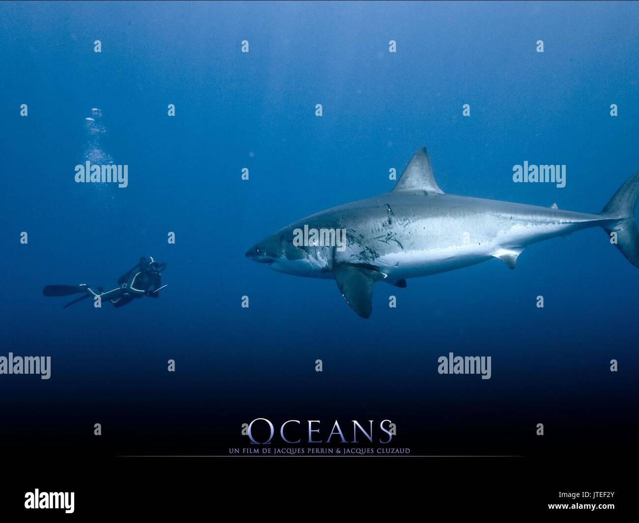 Shark Poster High Resolution Stock Photography and Images - Alamy