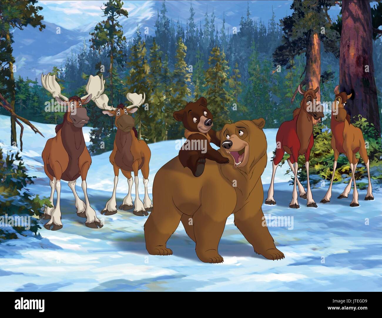Brother Bear 2 High Resolution Stock Photography and Images - Alamy
