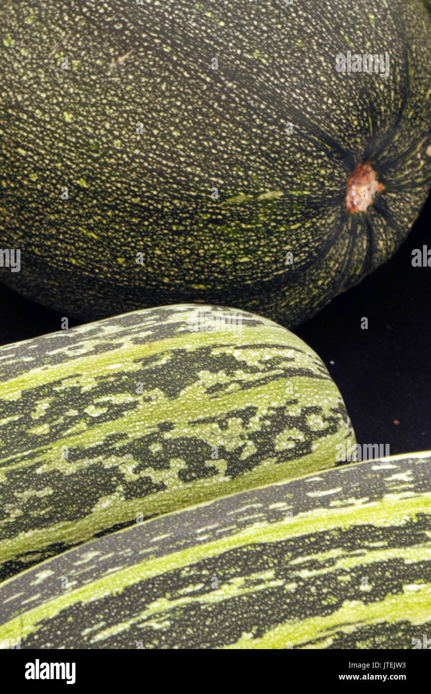 Marrows on show at a large agricultural and gardening event for ...