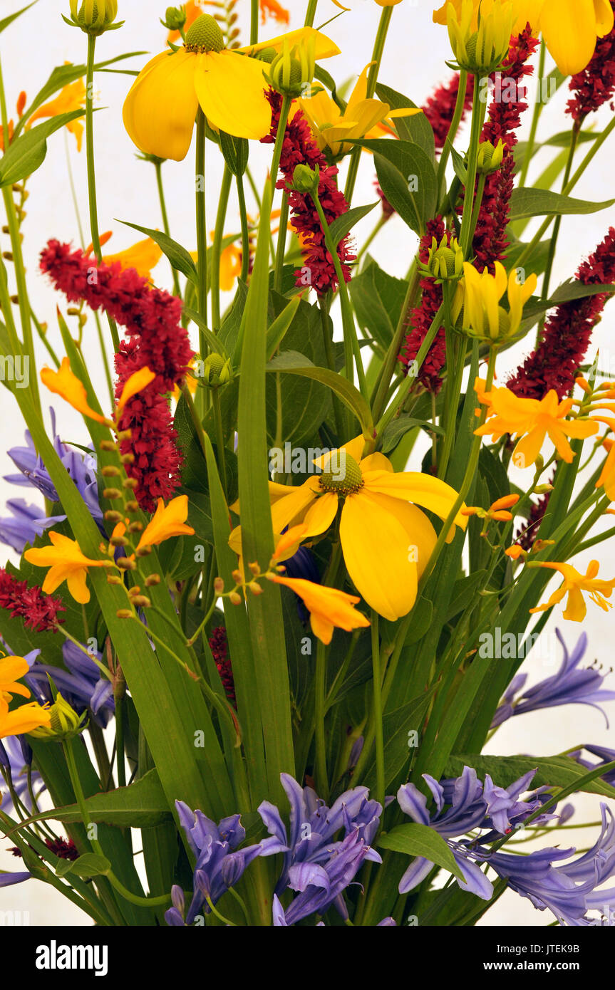 beautiful brightly coloured flowers arranged in bunches and bouquets of ...
